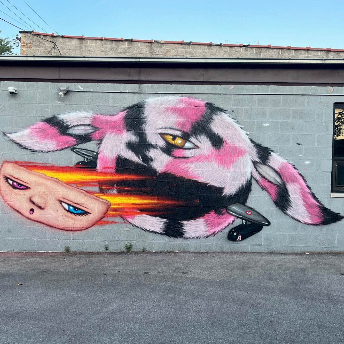 New Alex Face Wall Murals in Chicago – Vertical Gallery