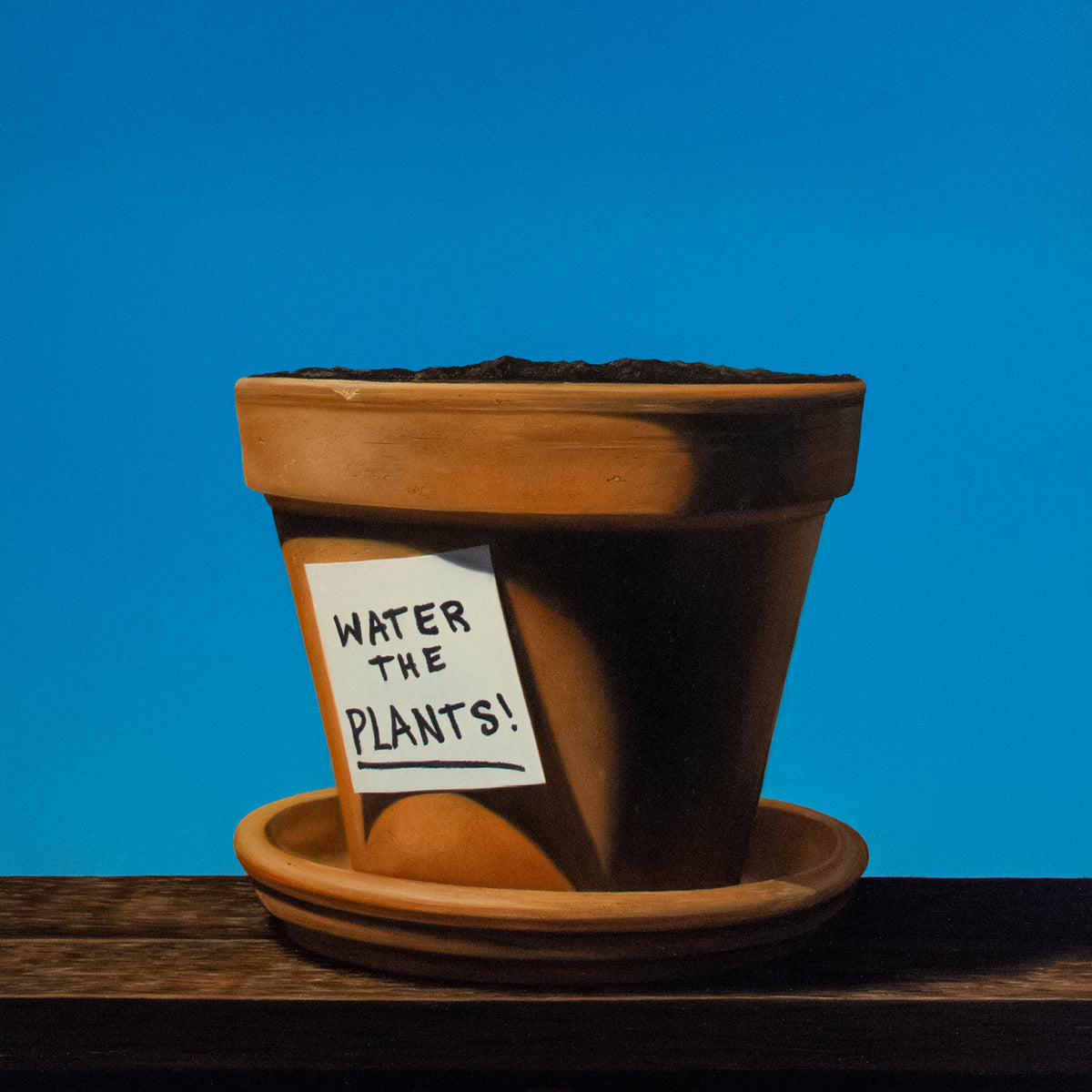 Water The Plants! curated by Joseph Renda Jr. – Vertical Gallery