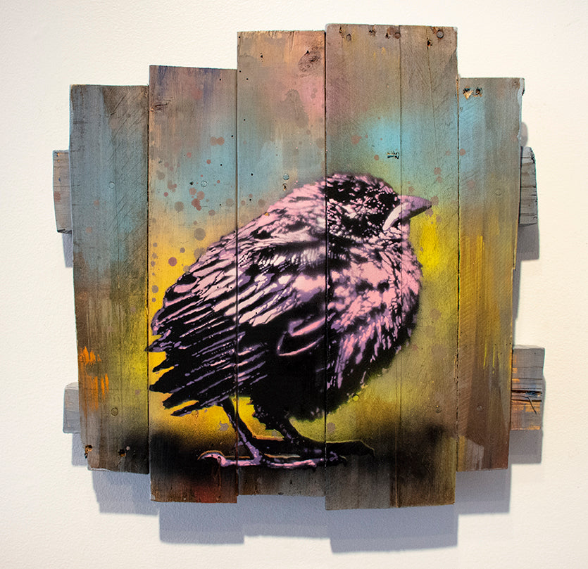 Pipsqueak Was Here!!! "Big bird" – Vertical Gallery