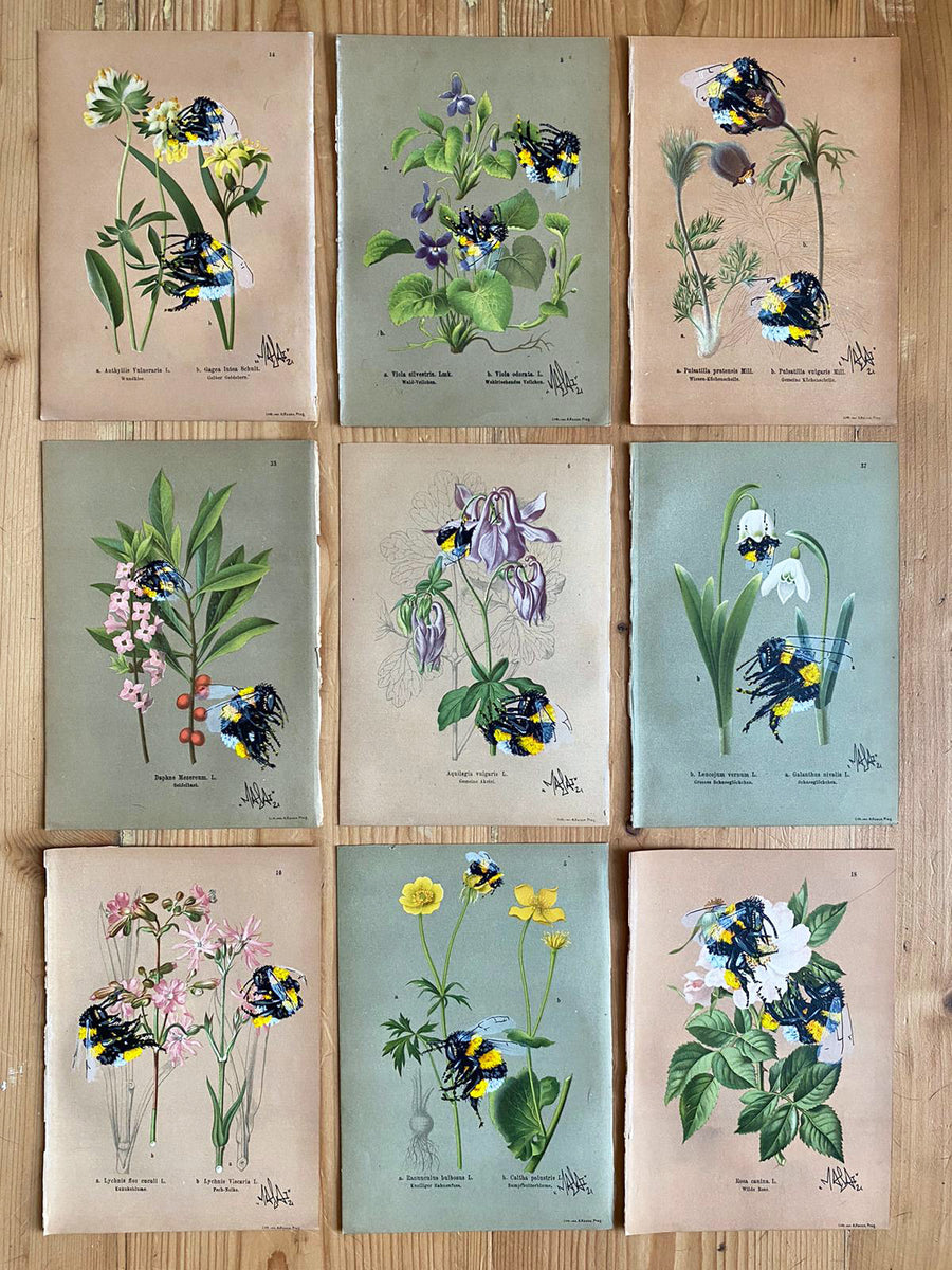 Louis Masai "Bee prepared for spring blooms (3)" – Vertical Gallery